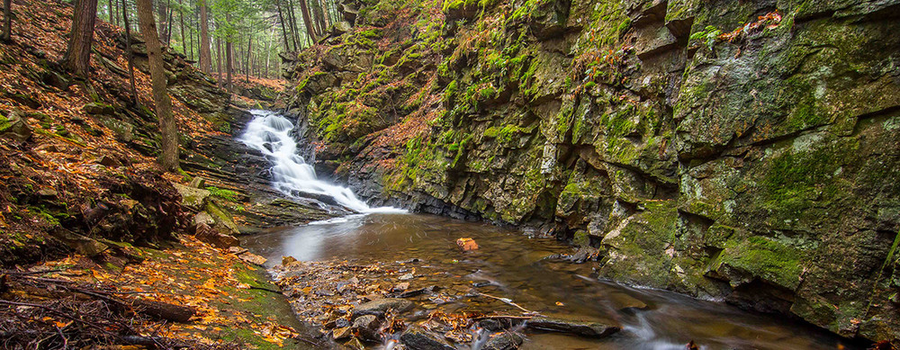 Chesterfield Gorge Natural Area - Trail Finder