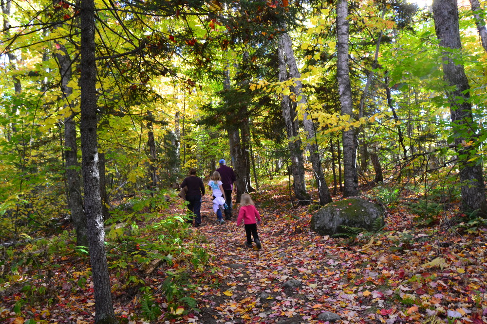 Groton State Forest: Devil's Hill - Trail Finder