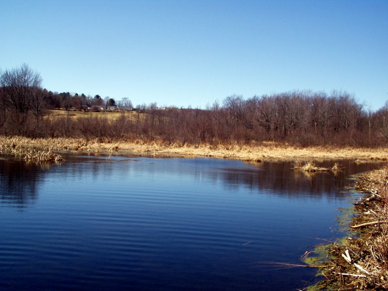 Mud Pond Conservation Area - Trail Finder