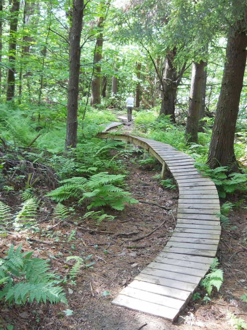 Mud Pond Country Park - Trail Finder