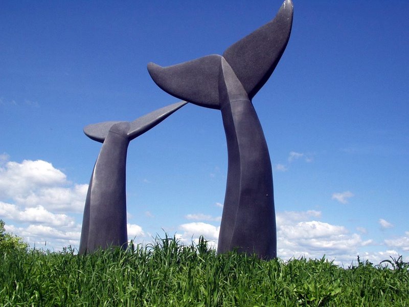 Whales Tails Walking Path - Trail Finder